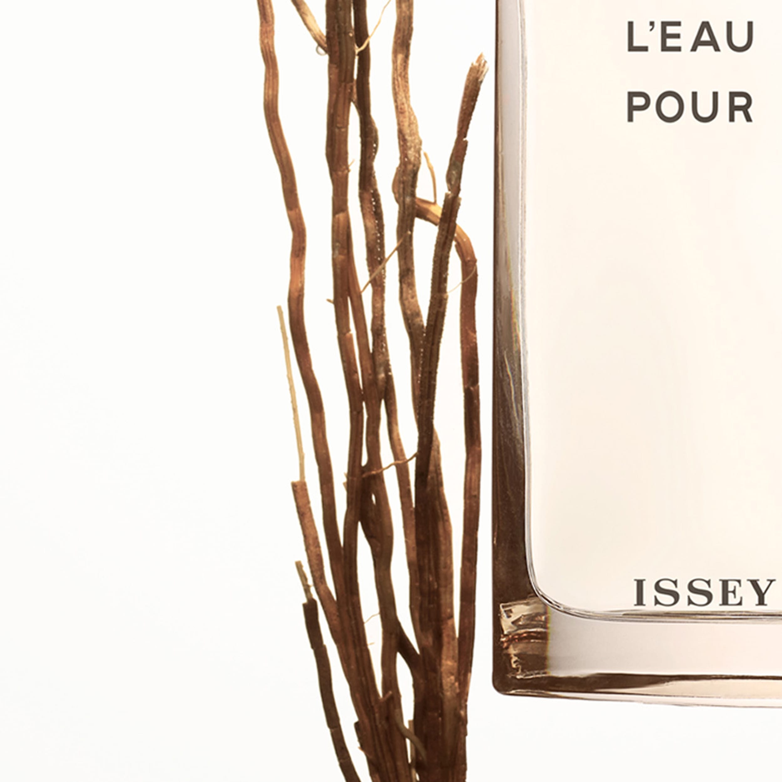 L'Eau D'Issey Pour Homme Vétiver i 50 ML från Issey Miyake | Åhlens